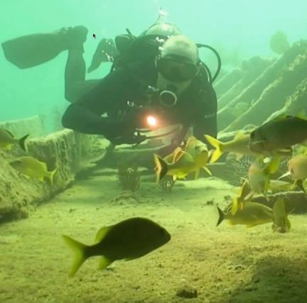 Lesson 1 Quiz | Summit SCUBA